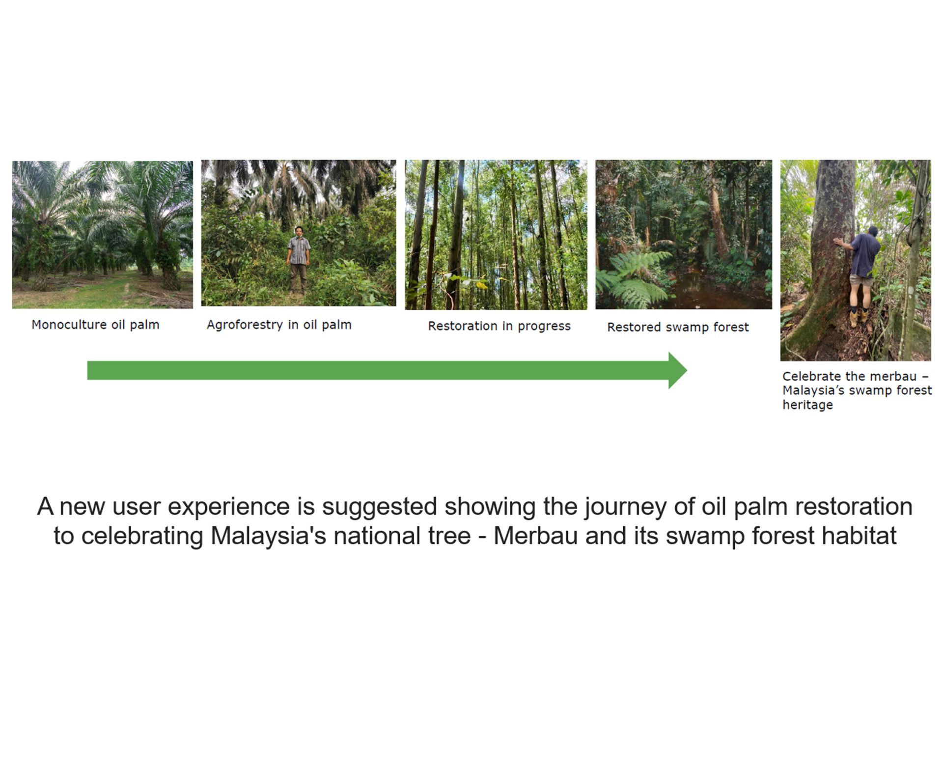 Elmina Urban Biodiversity Corridor, Malaysia - bioSEA